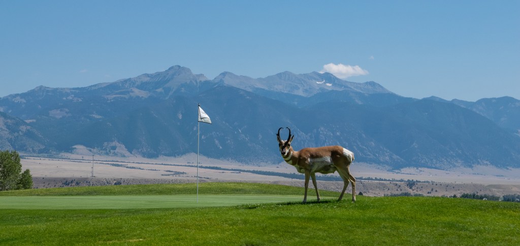 Madison Meadows Pro Shop - Madison Meadows Golf Course